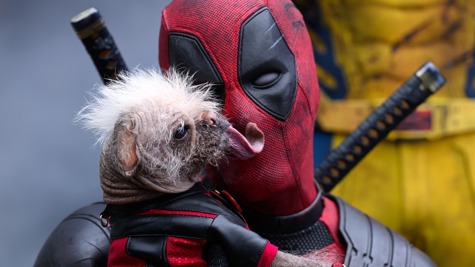 O amado animal de estimação de Deadpool, Dogpool, é interpretado pelo ...